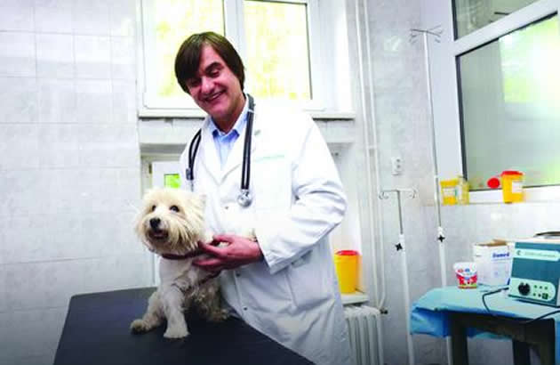 OMILJENI BEOGRADSKI VETERINAR DR VLADIMIR MAGAŠ: Životinja oseća kad ...